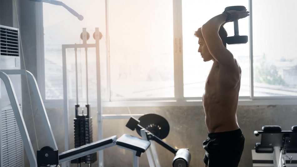 Muscle Wiki: the website that provides you with specific exercises for ...